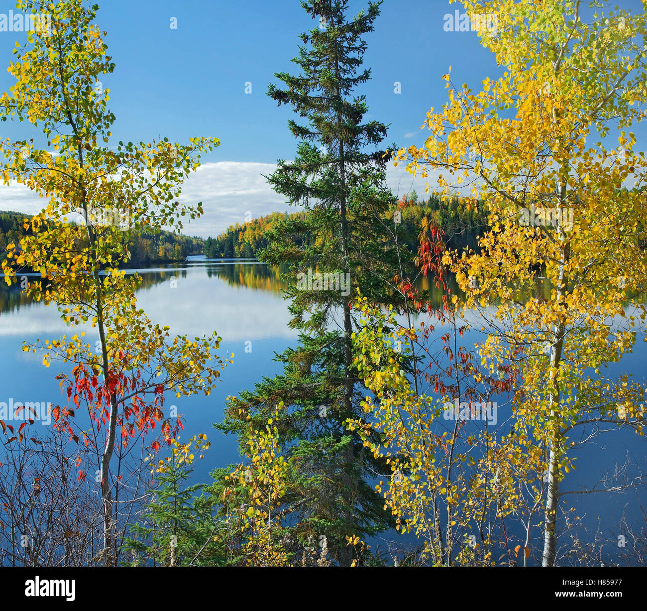 Tobique River, New Brunswick, Canada Stock Photo - Alamy