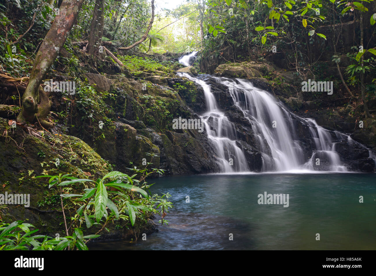 Antelope Falls, Mayflower Bocawina National Park, Belize Stock Photo ...