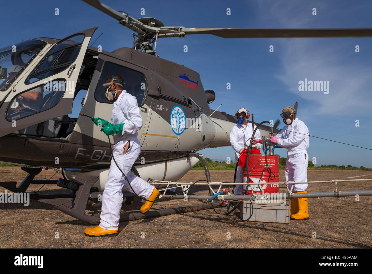 Migratory Locust (Locusta migratoria) control operation helicopter ...