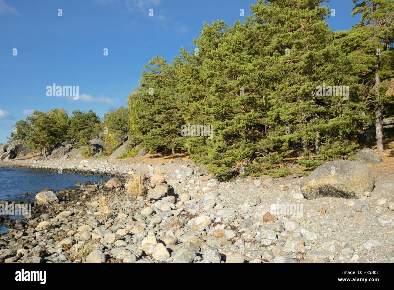 Pebble beach beach hi-res stock photography and images - Alamy