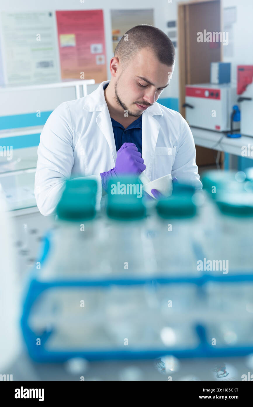 Chemist at work Stock Photo - Alamy