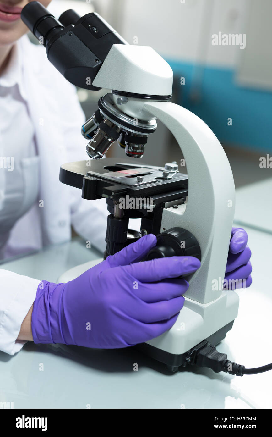 Laboratory Microscope. Scientific research background Stock Photo - Alamy