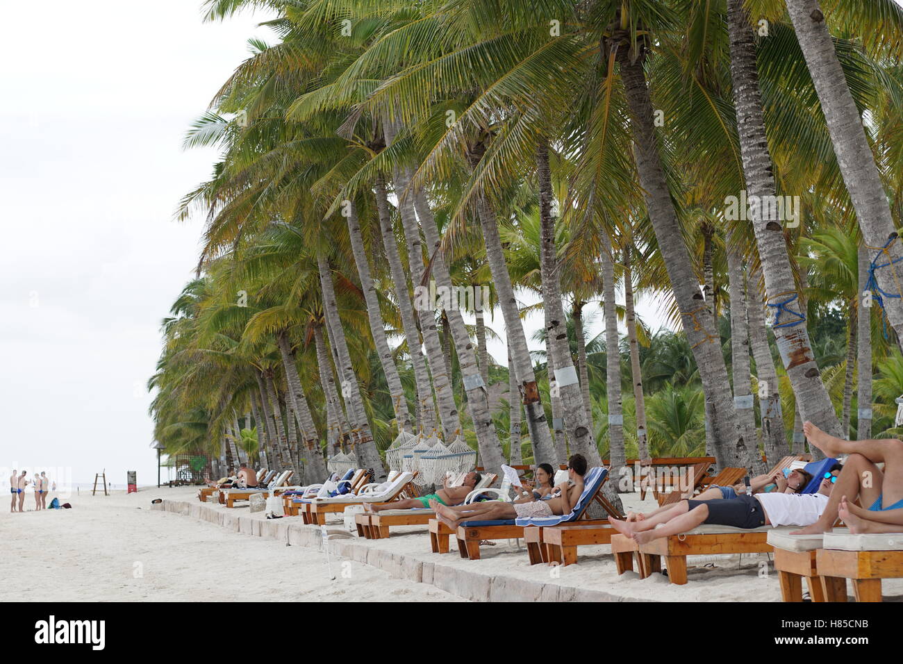people relaxing on beach Stock Photo - Alamy
