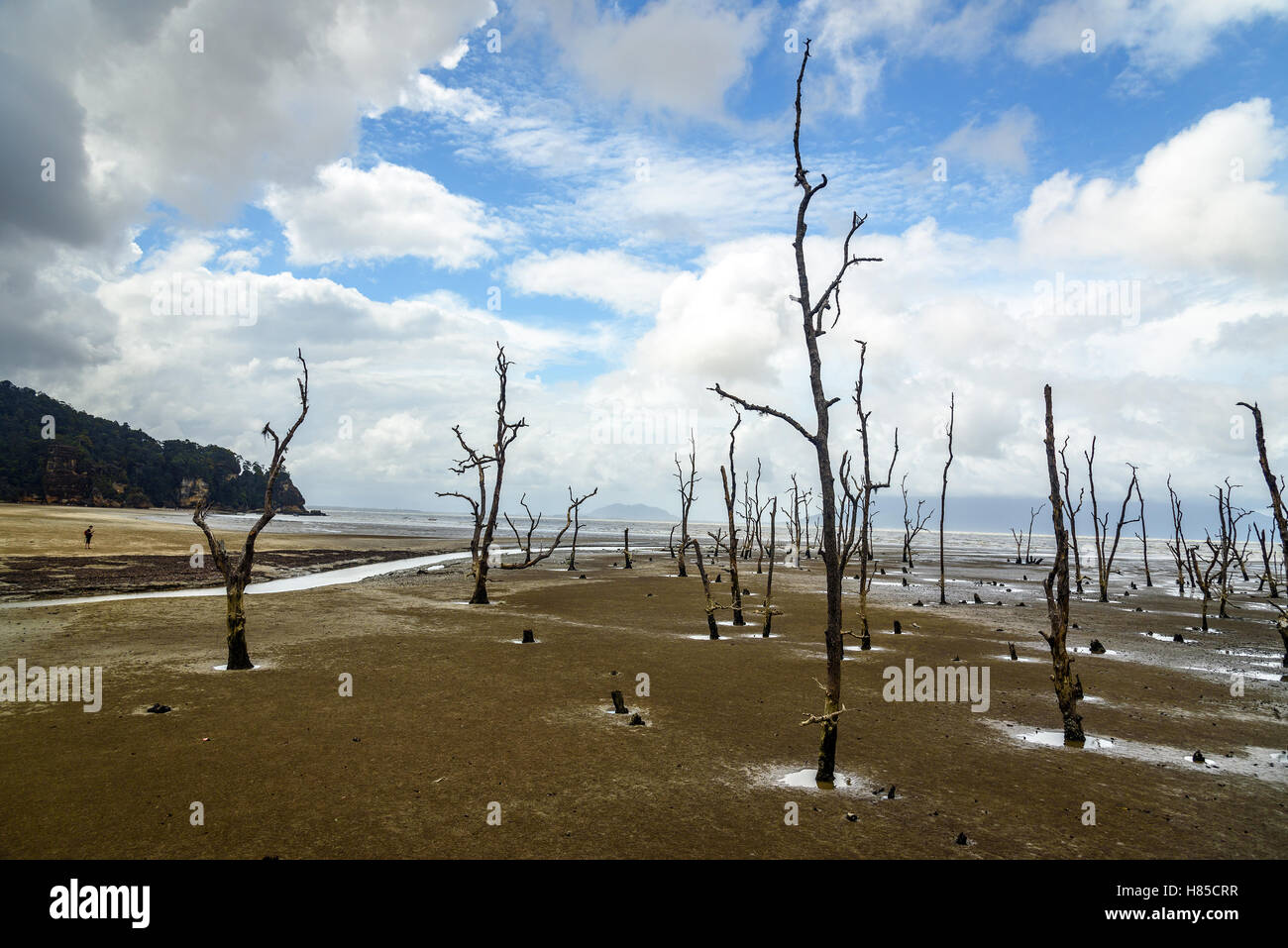 Dead low tide hi-res stock photography and images - Alamy