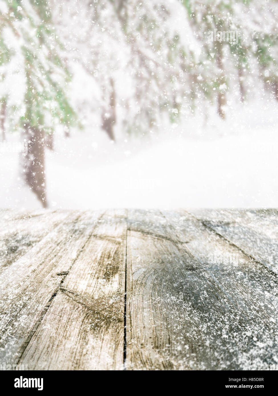 Garden table with frost hi-res stock photography and images - Alamy
