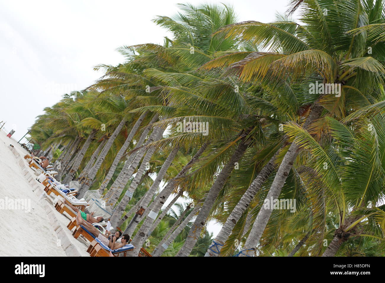 people relaxing on beach Stock Photo - Alamy