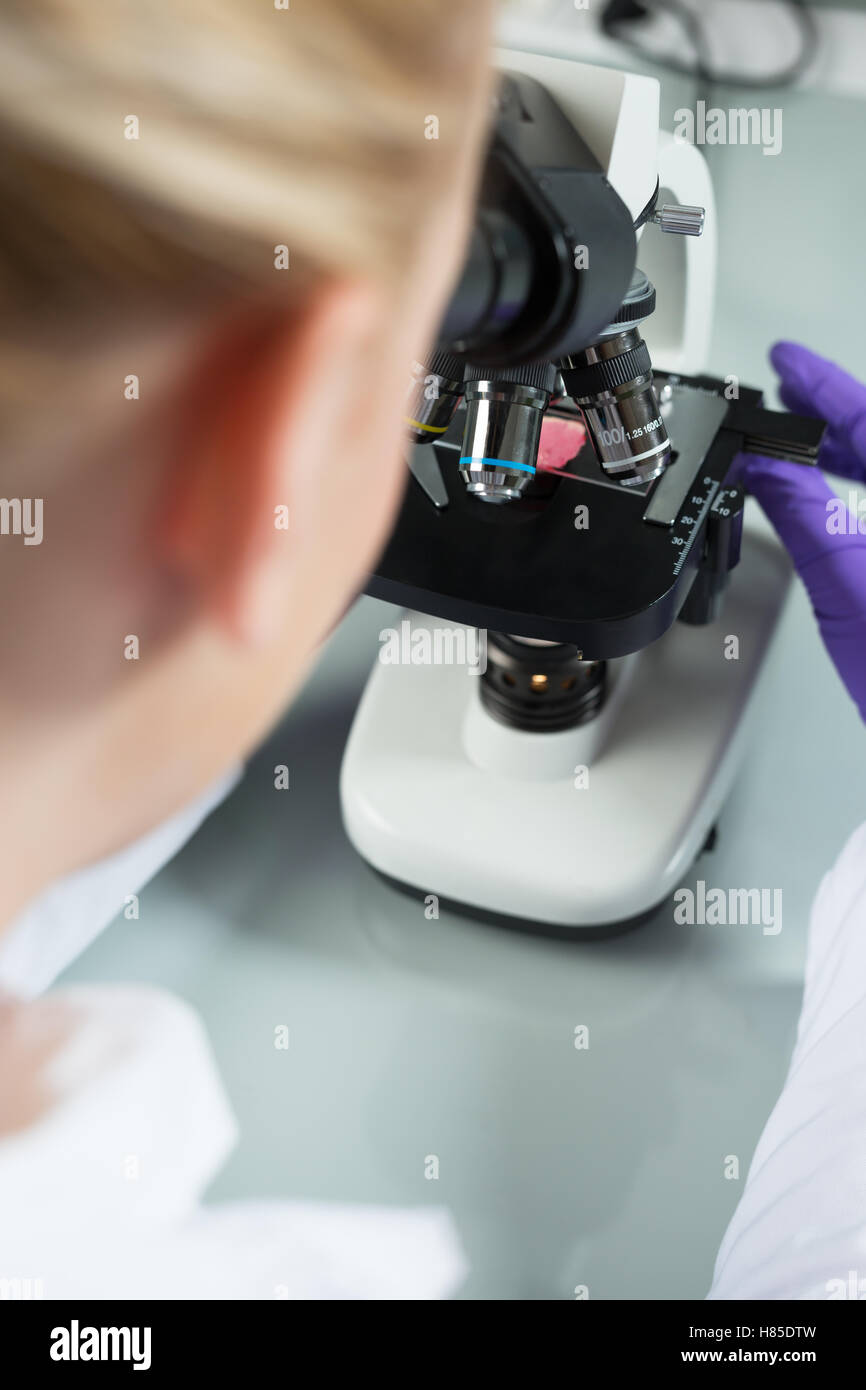 Female researcher using her microscope in a laboratory Stock Photo - Alamy