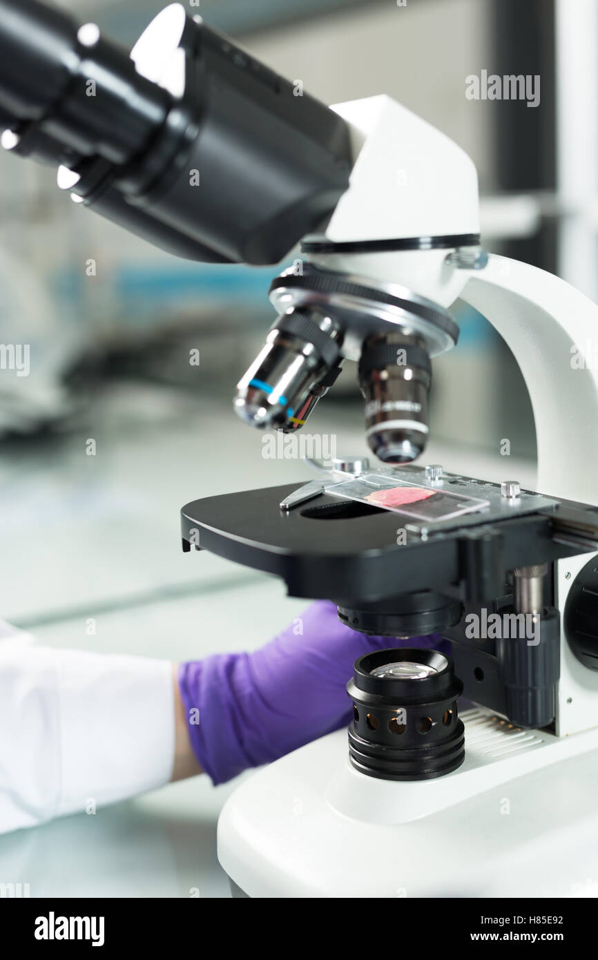 Scientist hands with microscope close-up shot in the laboratory Stock ...