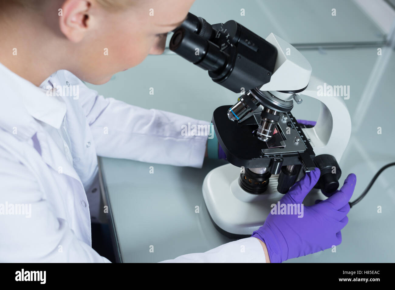 science, chemistry, technology, biology and people concept - close up ...