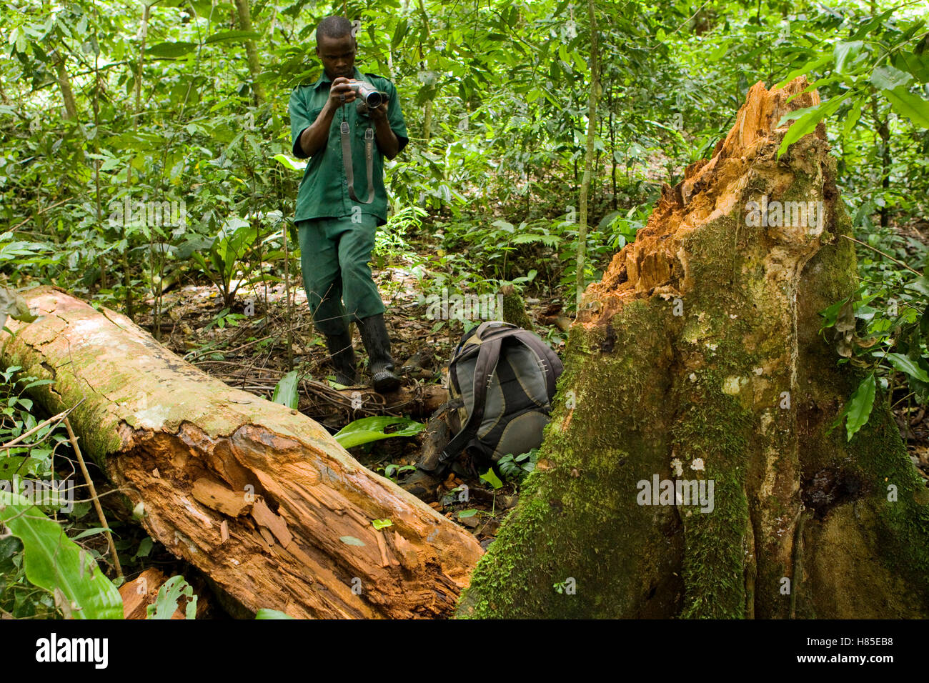 Anti-poaching snare removal team member, Godfrey Nyesiga, photographing ...