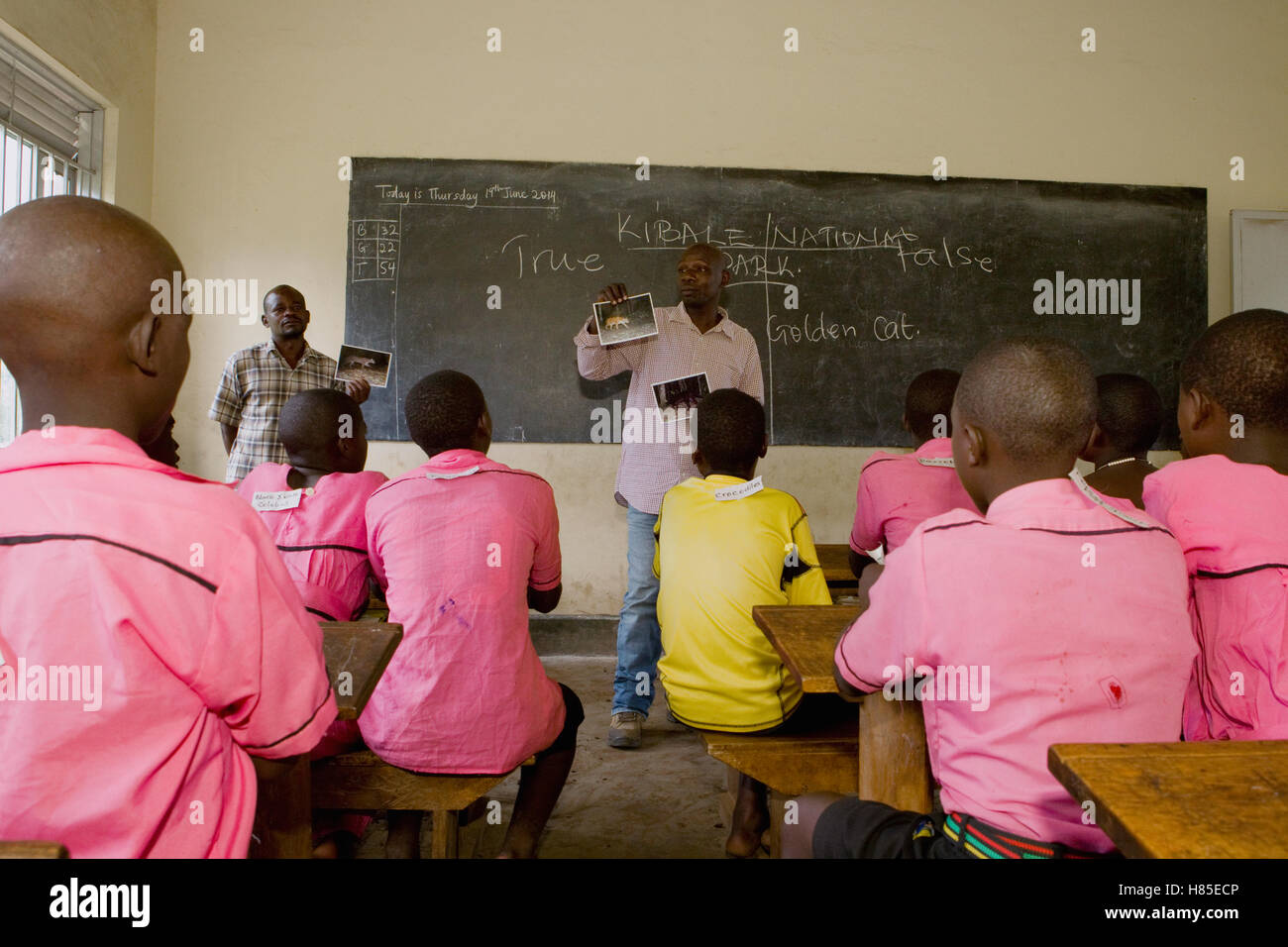 African Golden Cat (Profelis aurata) researcher, Sam Isoke, giving ...