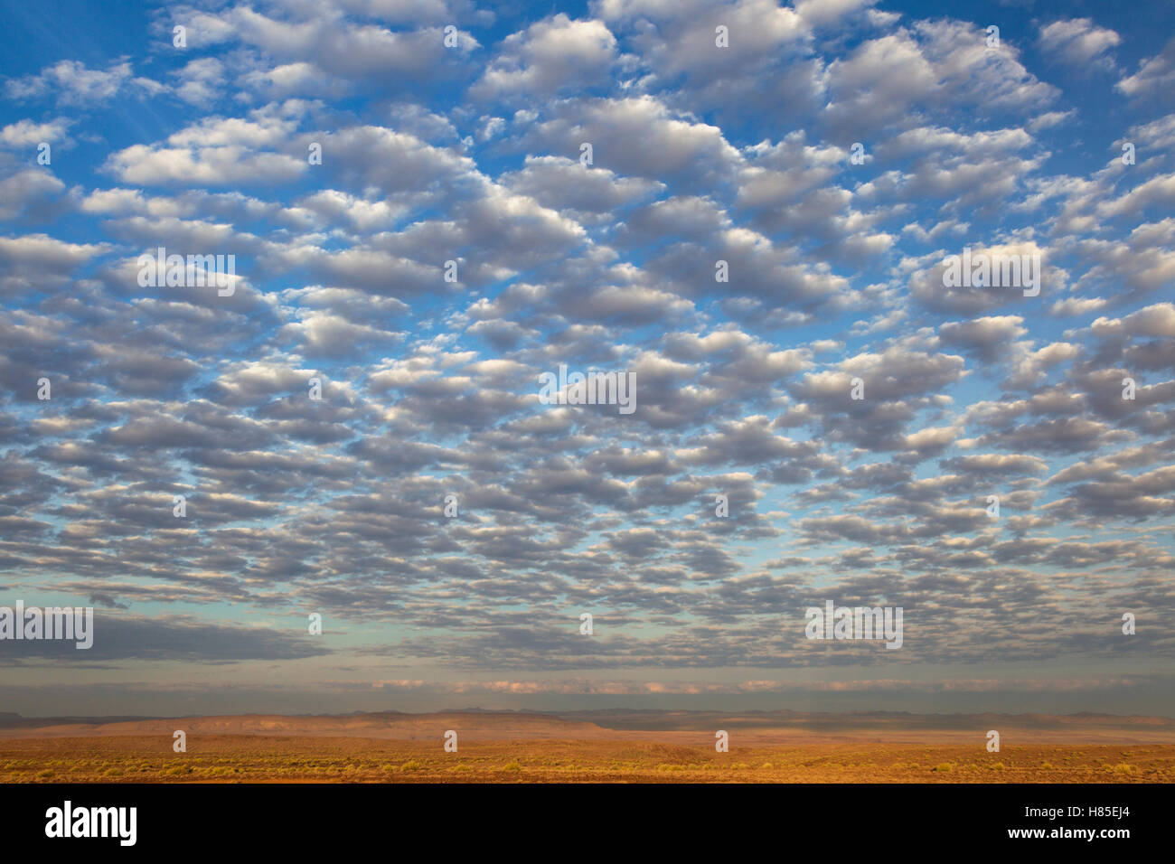 Desert and altocumulus clouds, Namib Desert, Namibia Stock Photo - Alamy