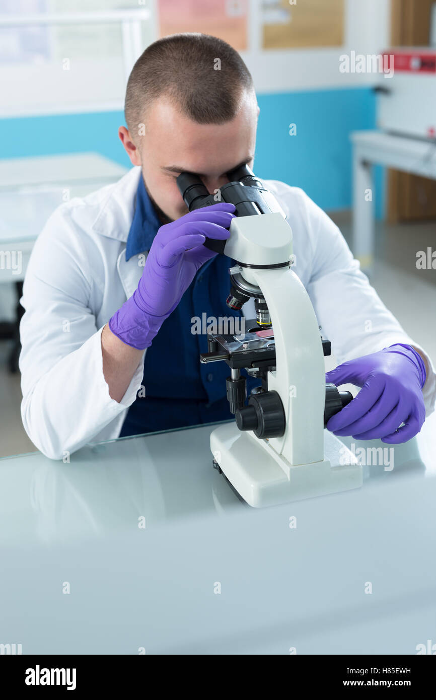 Scientist looking through a microscope in a laboratory Stock Photo - Alamy