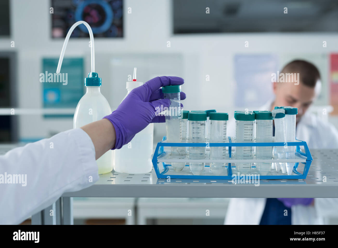 Experiments in the laboratory Stock Photo - Alamy