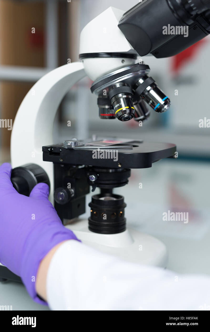 Laboratory Microscope. Scientific research background Stock Photo - Alamy