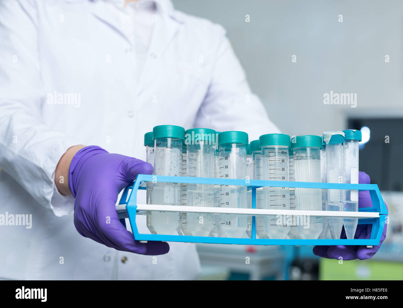 female researcher holding up a test tube in lab Stock Photo - Alamy