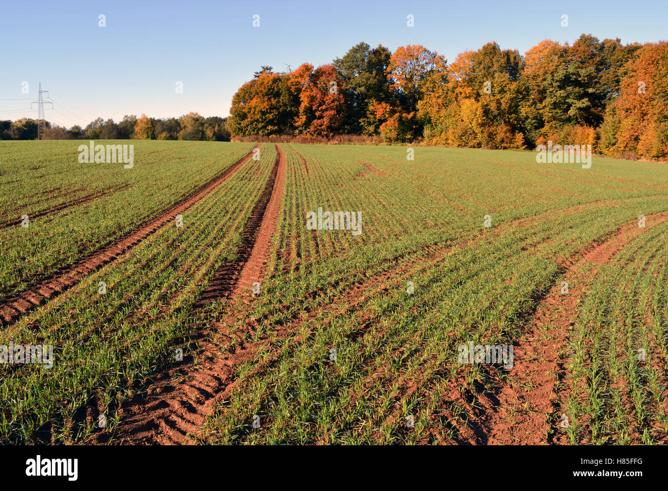 Tractor tracks lines crops field hi-res stock photography and images ...