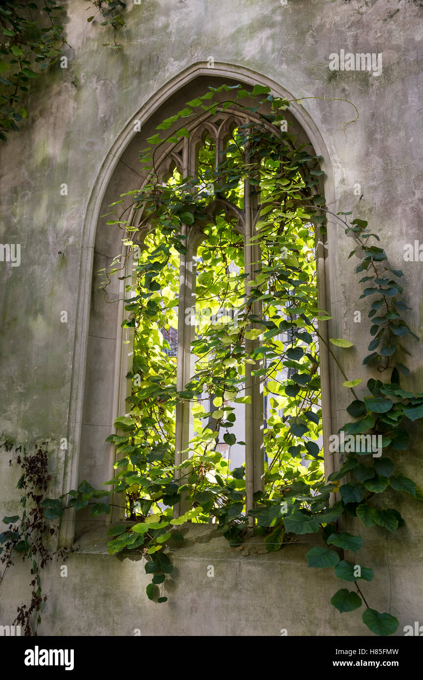 Overgrown window gothic church hi-res stock photography and images - Alamy