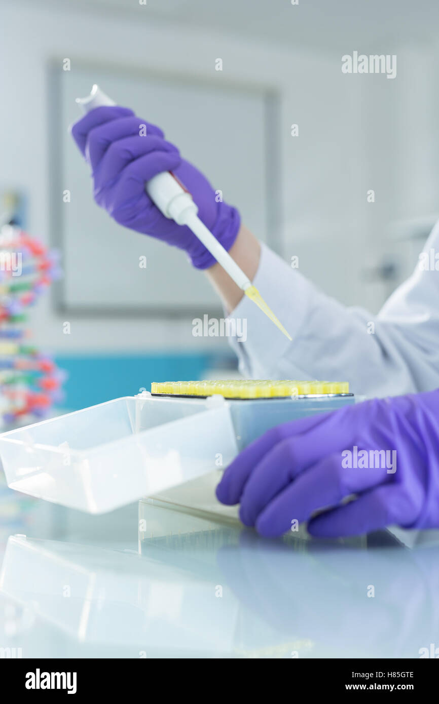 Experiments in the laboratory Stock Photo - Alamy