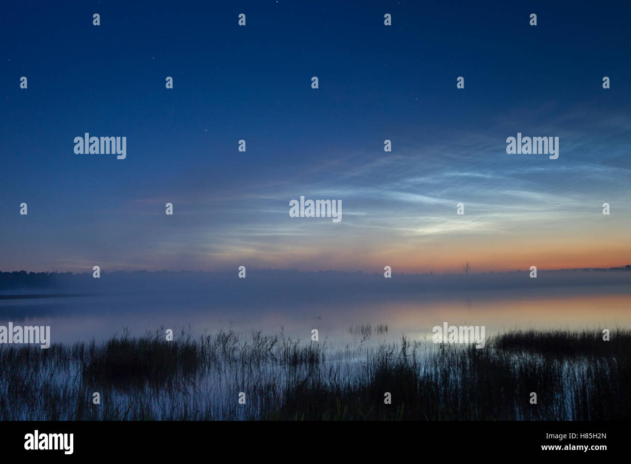Marsh at night, Europe Stock Photo - Alamy