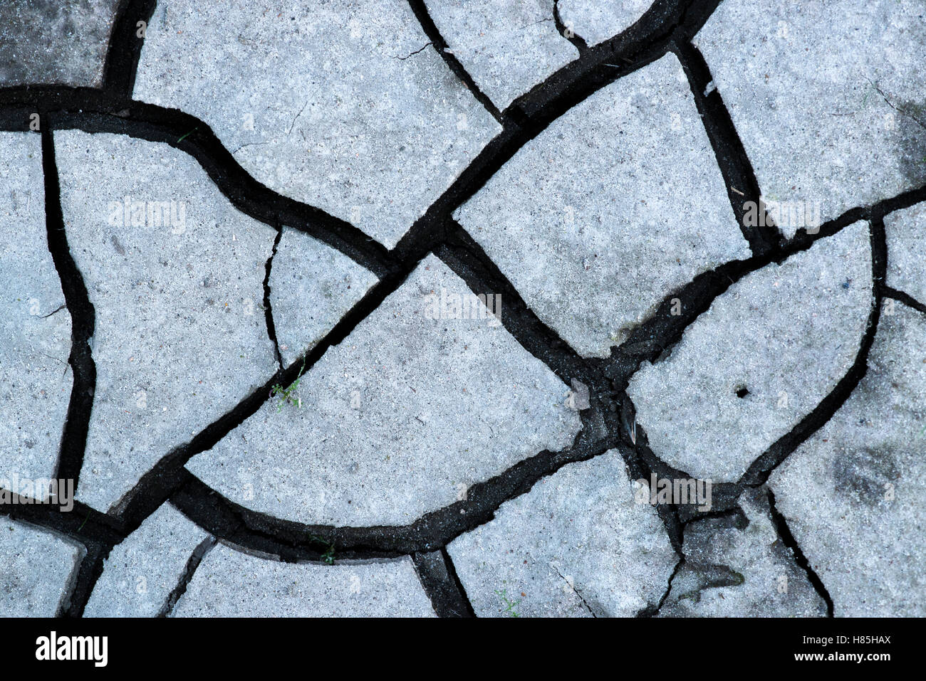 Cracked clay, Netherlands Stock Photo - Alamy