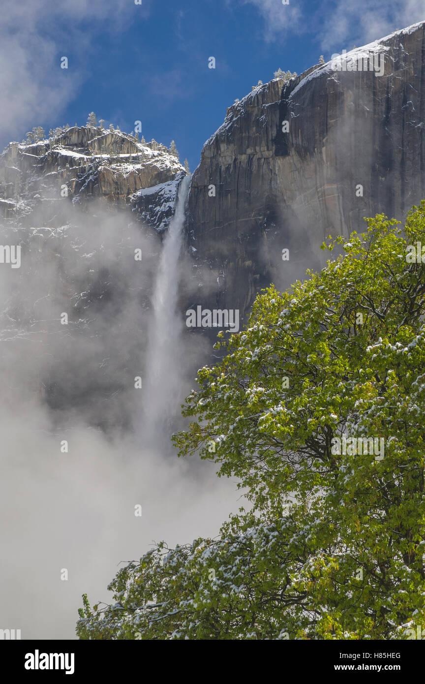 Waterfall in spring, Yosemite Falls, Yosemite National Park, California ...