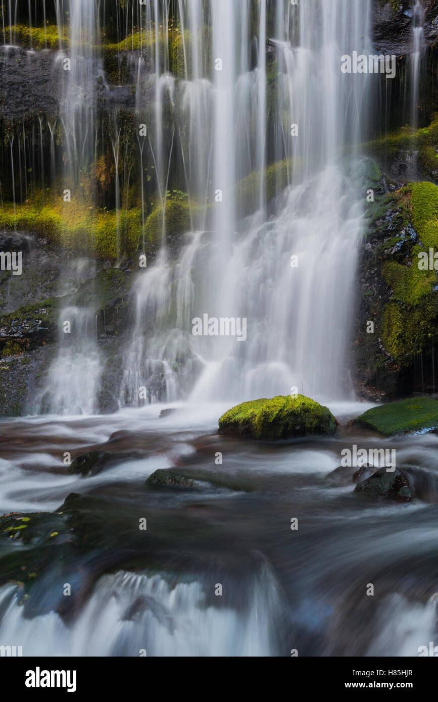 Panther Falls, Columbia River Gorge, Washington Stock Photo - Alamy
