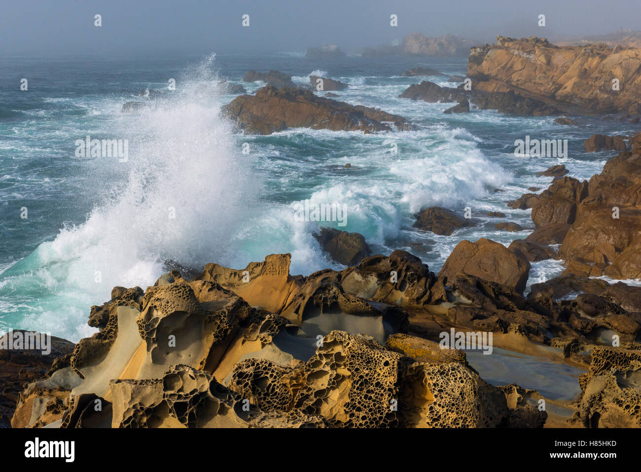 Waves breaking, Salt Point State Park, California Stock Photo - Alamy