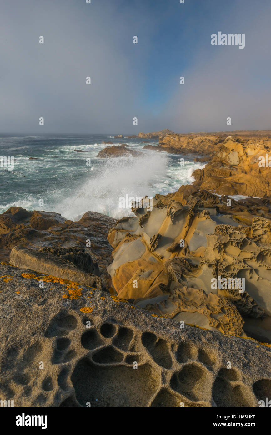 Fog over coast, Salt Point State Park, California Stock Photo - Alamy