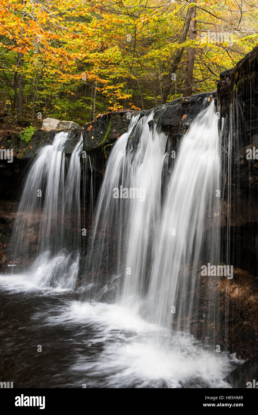 Oneida Falls, Kitchen Creek, Ricketts Glen State Park, Pennsylvania ...