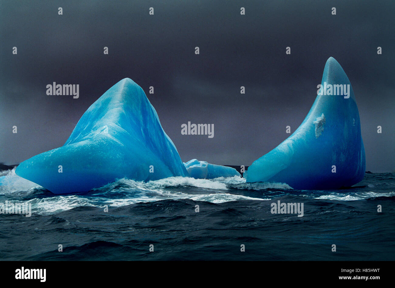 Eroded blue iceberg, South Sandwich Islands, Antarctica Stock Photo - Alamy