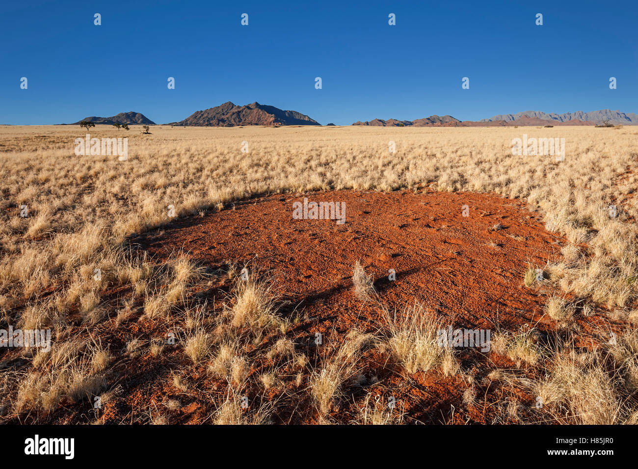 Fairy circle, Namib Naukluft National Park, Namibia Stock Photo - Alamy