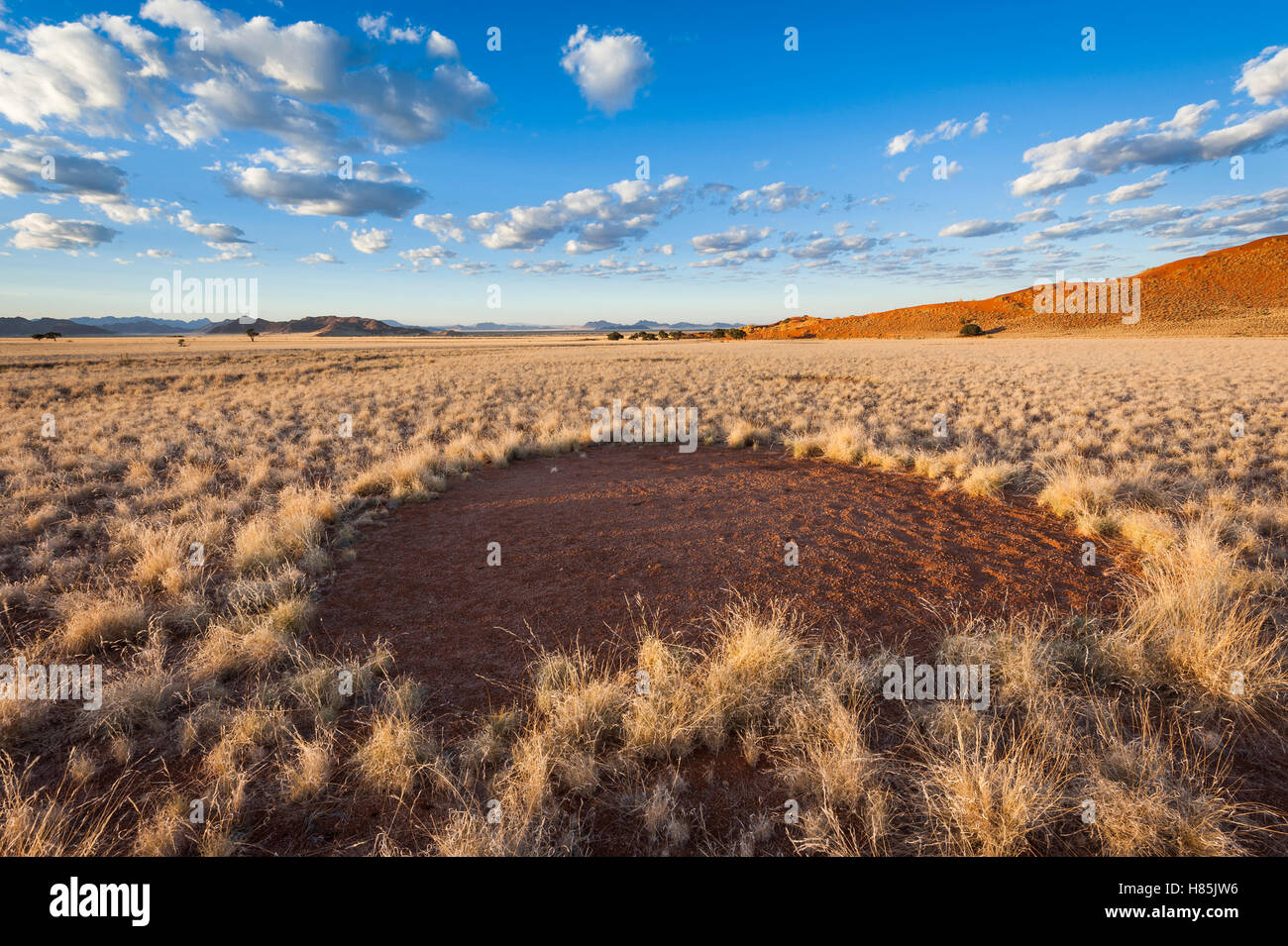 Fairy circle, Namib Naukluft National Park, Namibia Stock Photo - Alamy