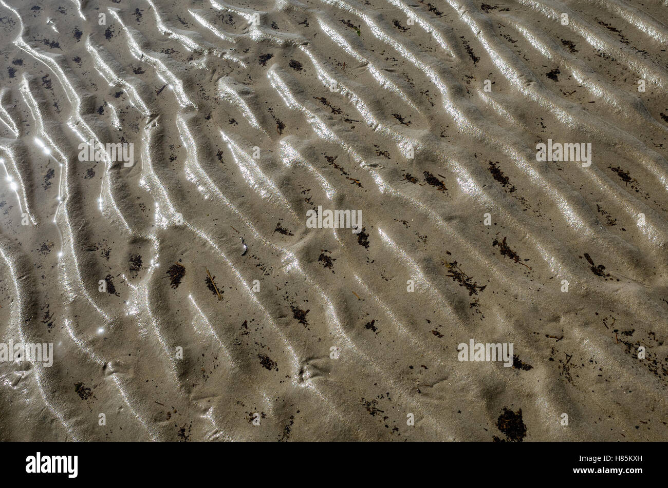 Grey patterns hi-res stock photography and images - Alamy