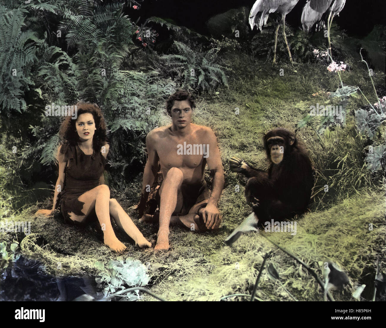 Tarzans geheimer Schatz, (TARZAN'S SECRET TREASURE) USA 1941 s/w, Regie ...