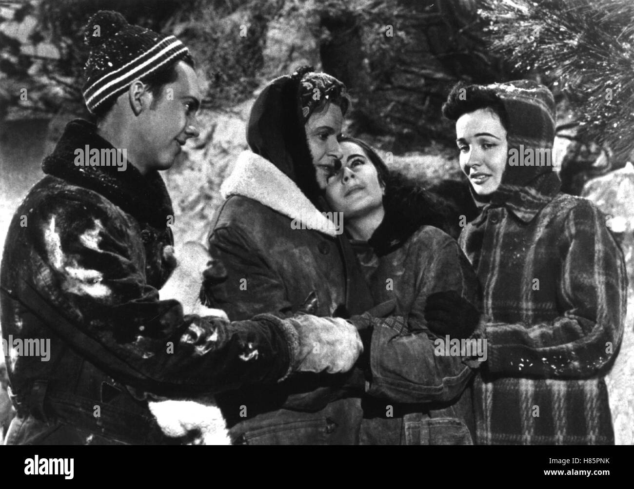 Held auf vier Pfoten, (COURAGE OF LASSIE) USA 1946, Regie: Fred Wilcox ...