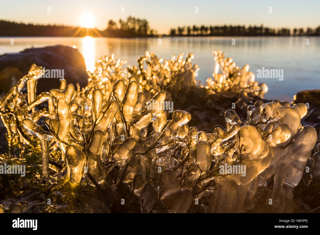 Beautiful Ice by lakeside at wintertime in Wilderness Stock Photo - Alamy