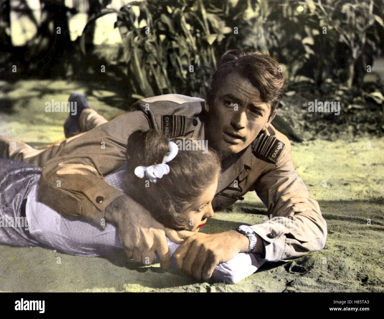 The purple plain peck hi-res stock photography and images - Alamy