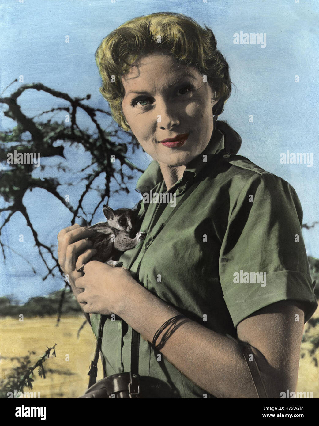 Odongo, (ODONGO) GB 1956, Regie: John Gilling, RHONDA FLEMING Stock ...