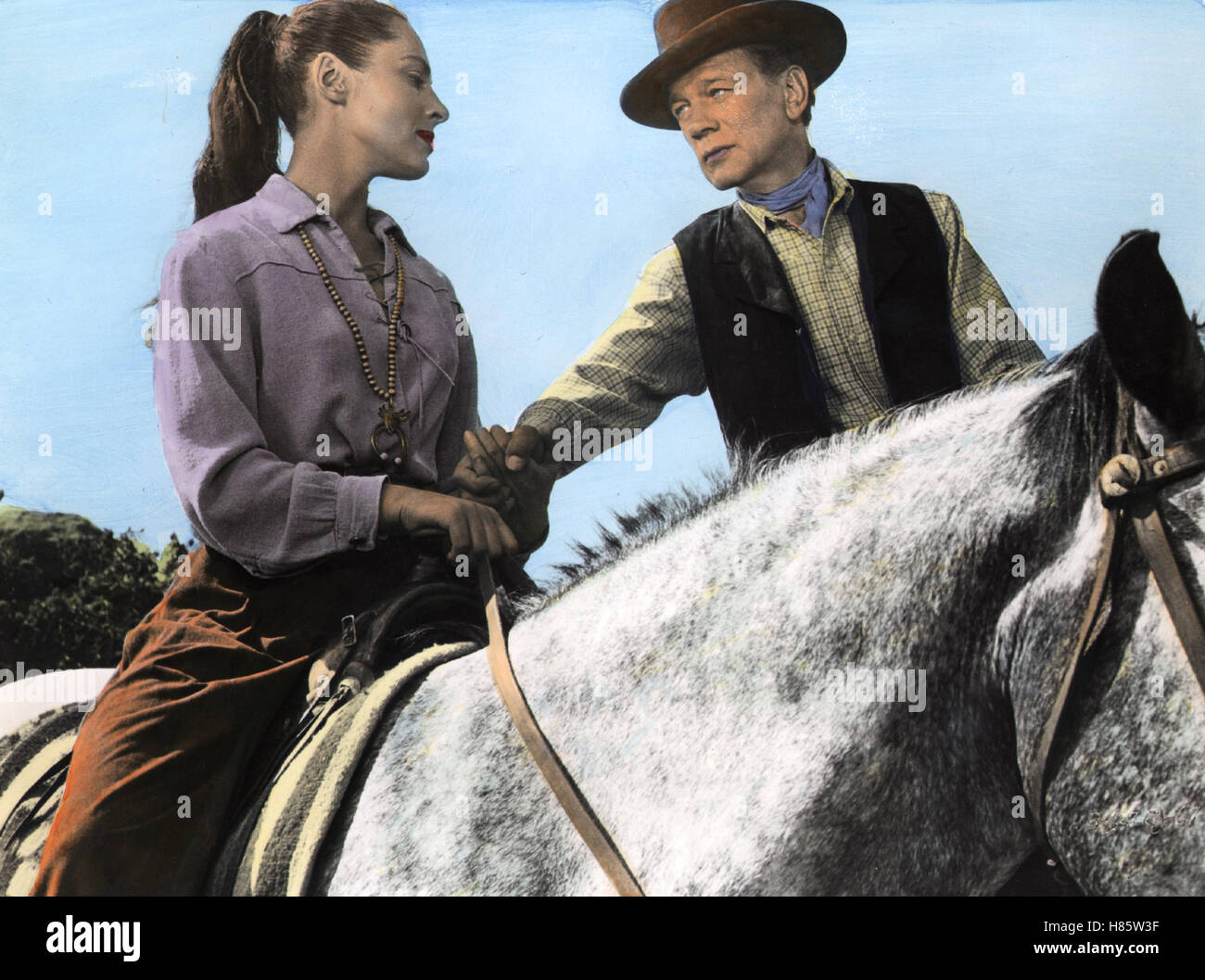 Pferd getrieben hi-res stock photography and images - Alamy
