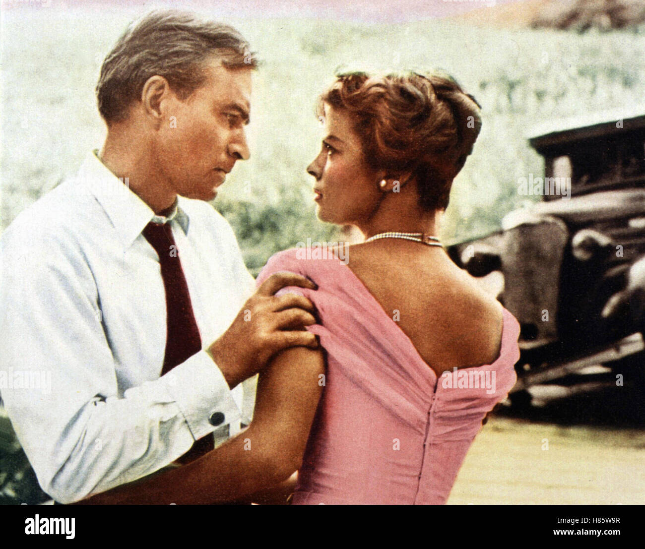 Heiße Erde, (ISLAND IN THE SUN) USA 1957, Regie: Robert Rossen, JAMES ...