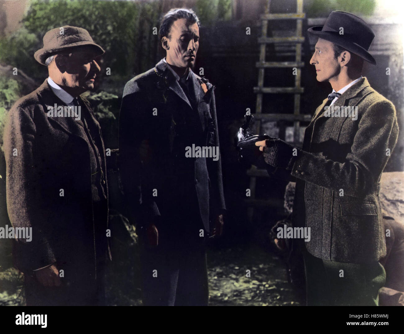 Hound of the baskerville hi-res stock photography and images - Alamy