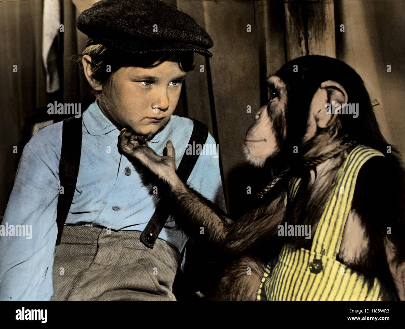 Toby tyler hi-res stock photography and images - Alamy