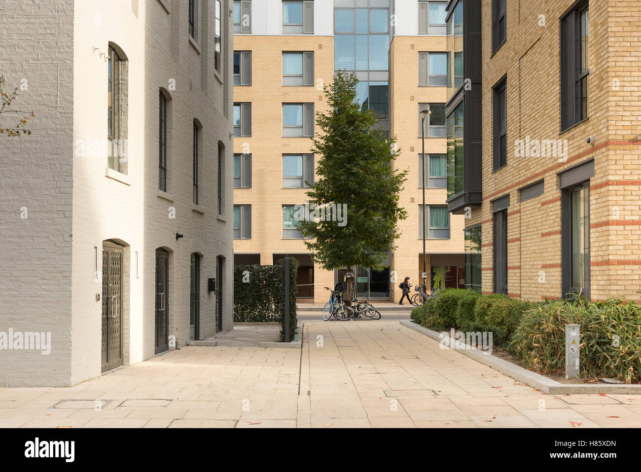 A new residential apartment building and street in CB1 a new ...