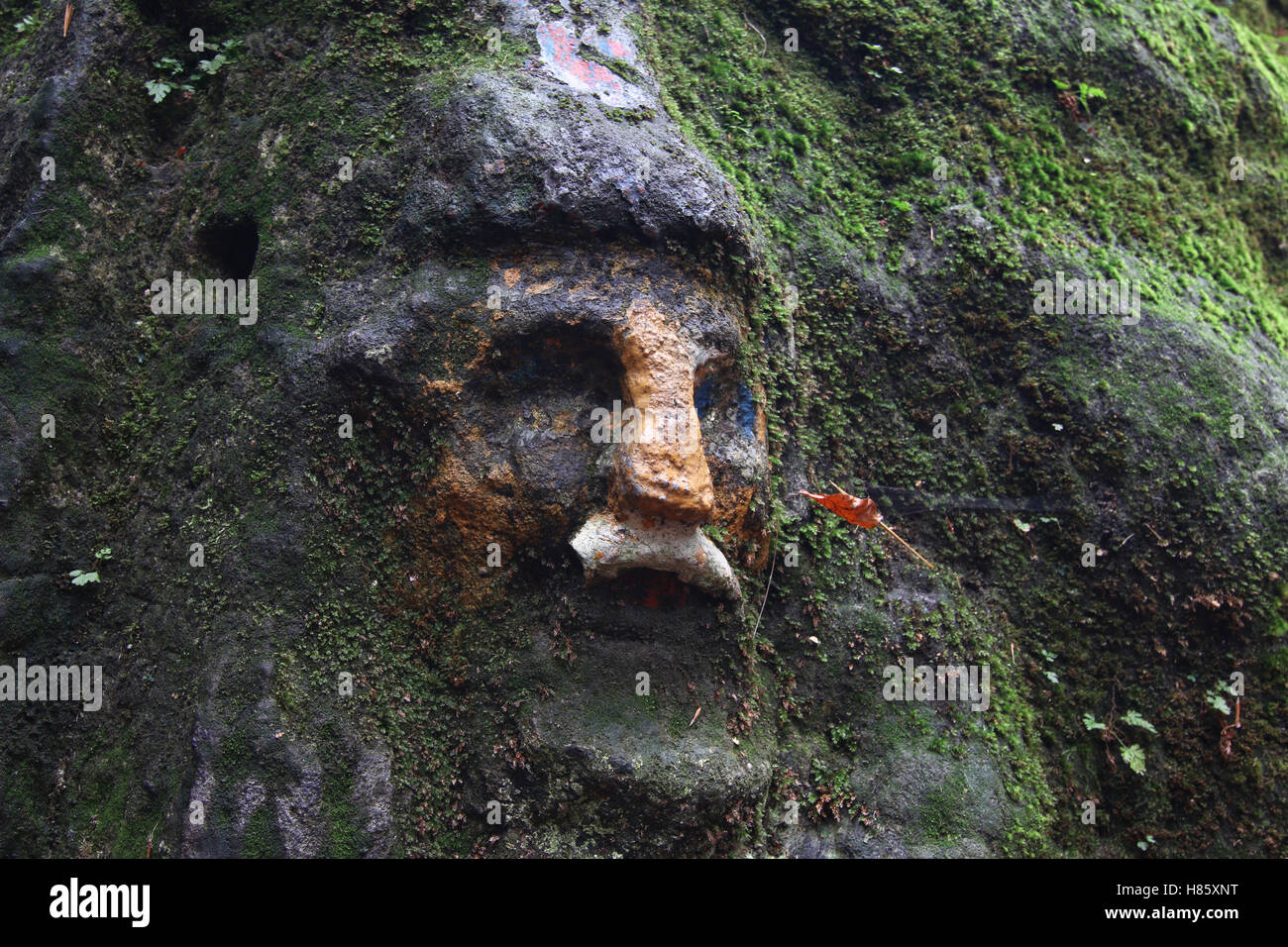 Dwarf face carved in the rock - rock relief from 1833 Stock Photo - Alamy