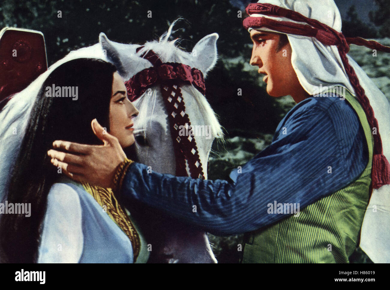 Verschollen im Harem, (HARUM SCARUM) USA 1965, Regie: Gene Nelson ...