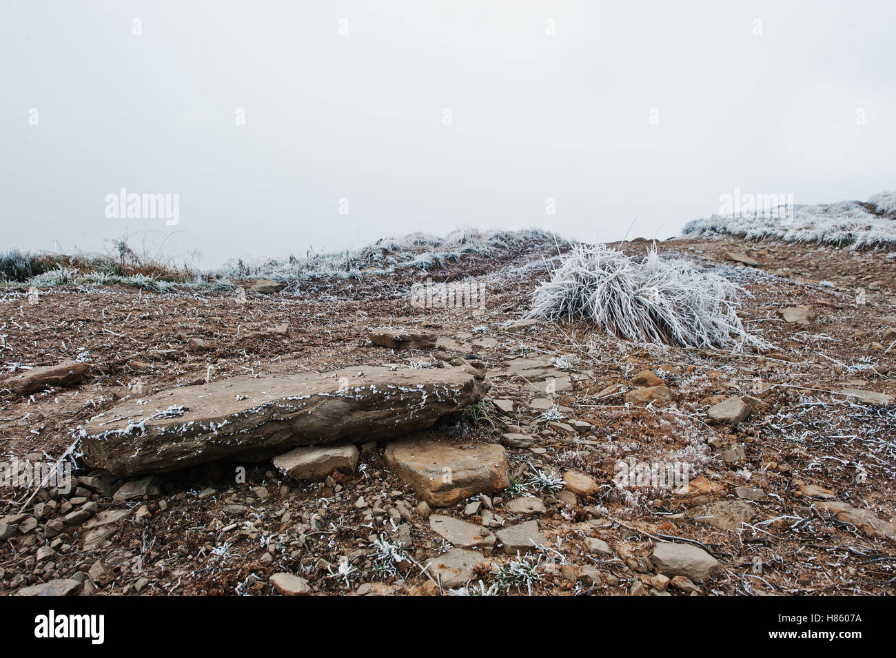 Frost stones on mountain climbing at hill Stock Photo - Alamy