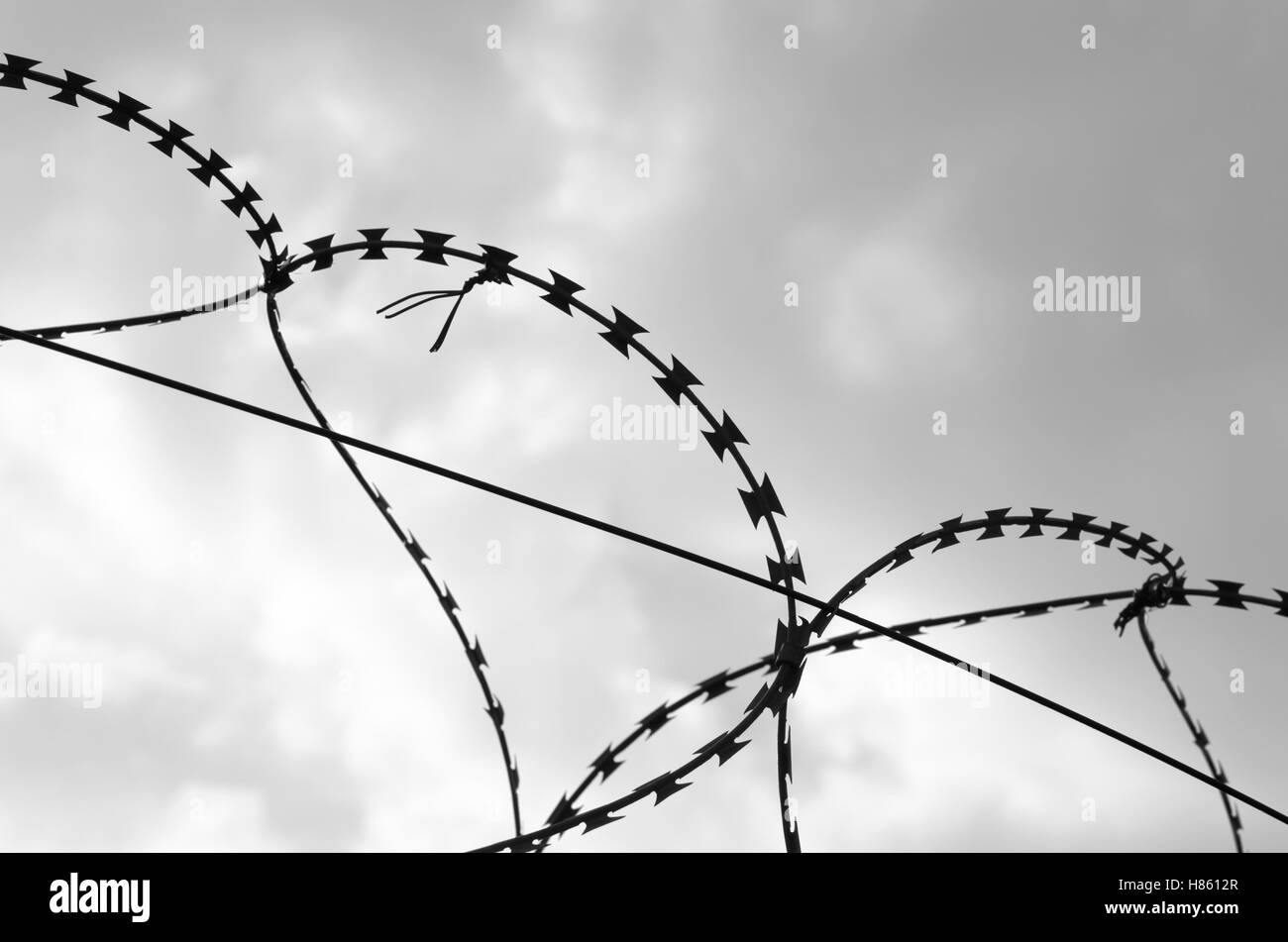 Barbed wire spiral fence hi-res stock photography and images - Alamy