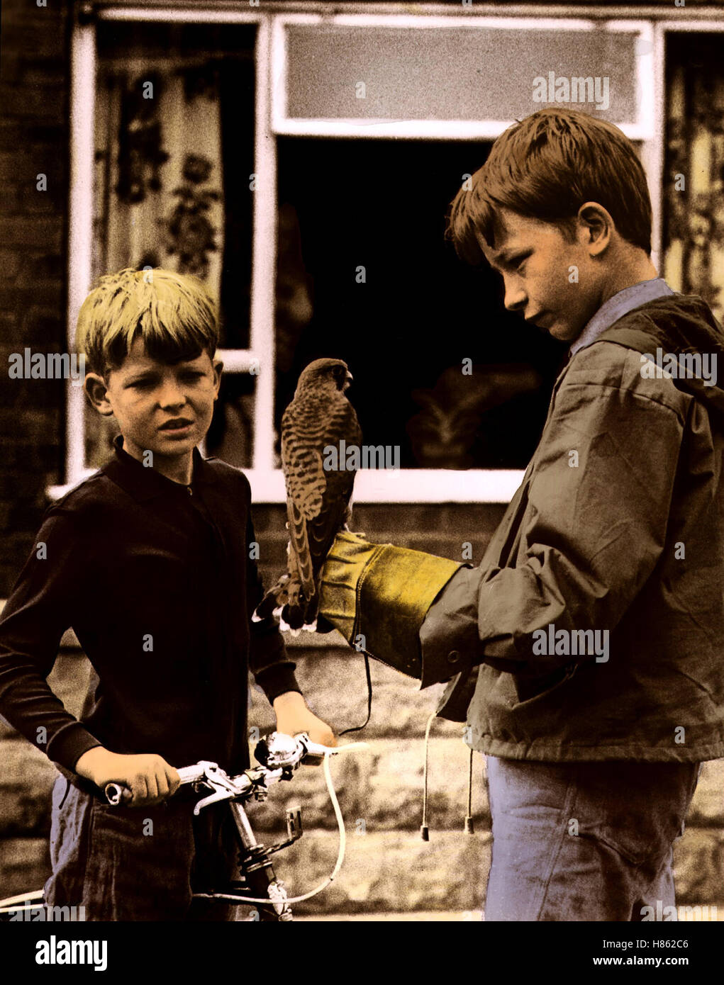 Kes, (KES) GB 1969, Regie: Kenneth Loach, DAVID BRADLEY (re), Stichwort ...