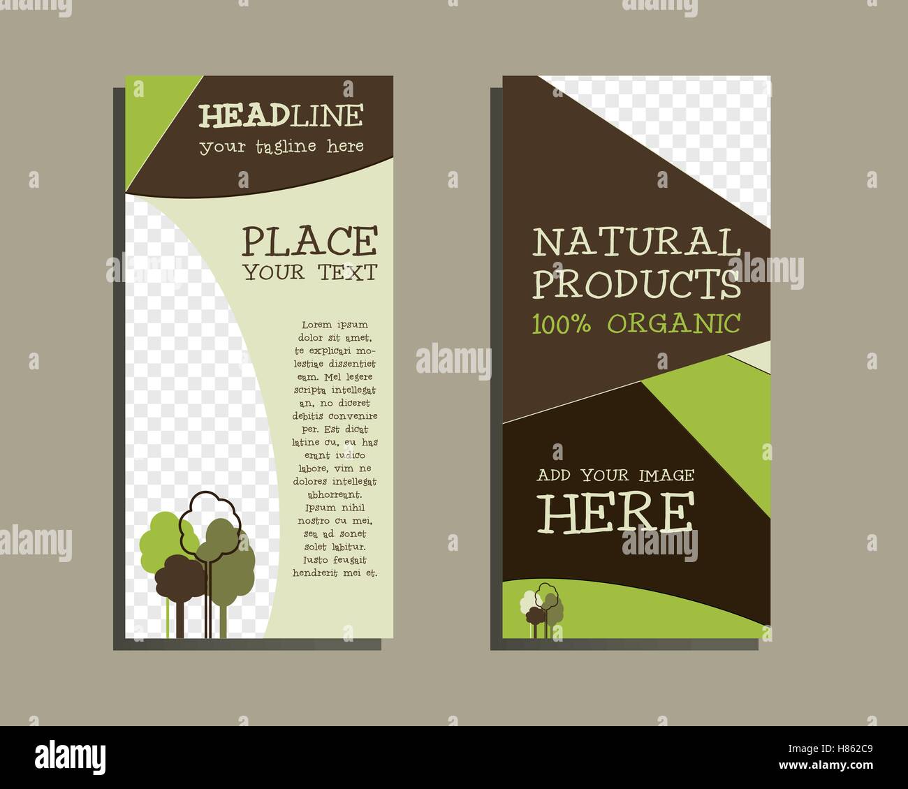 Vector organic Brochure Flyer design Layout template. Lovely Eco colors ...